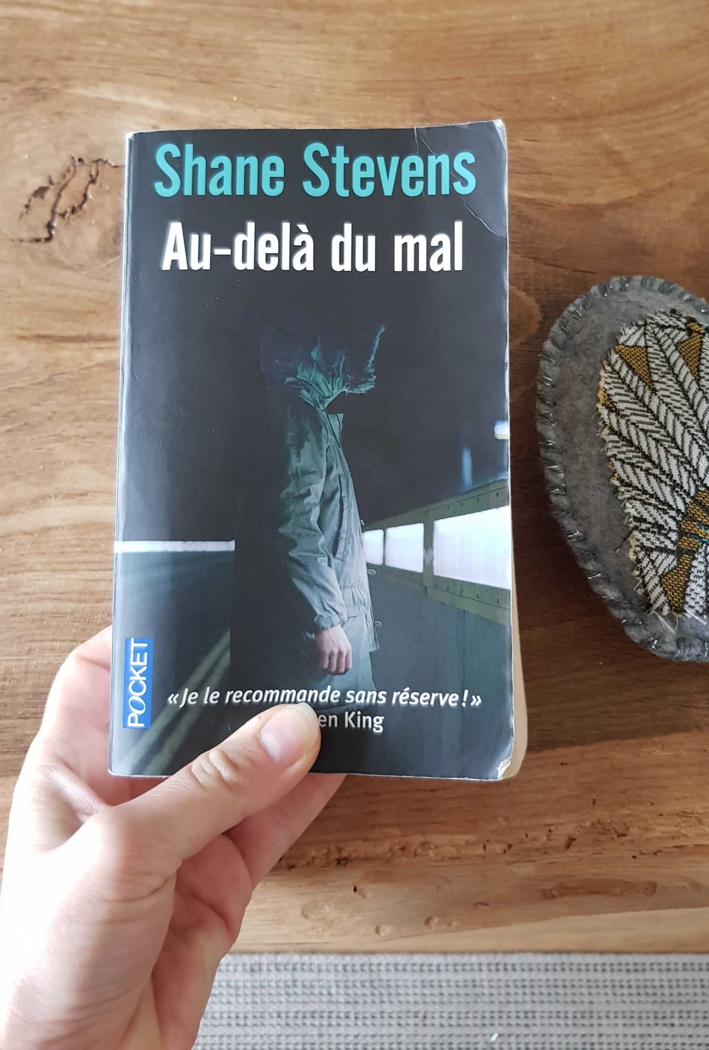 Au-delà du mal de Shane Stevens, thriller de référence