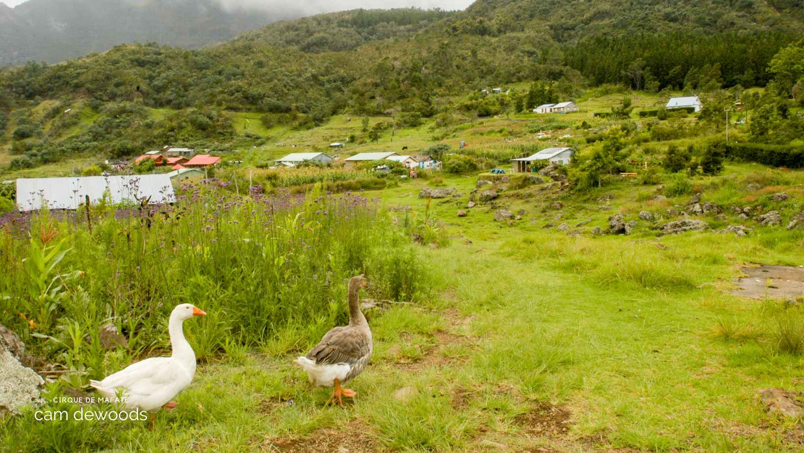 Cirque de Mafate Réunion : Guide complet pour tout savoir