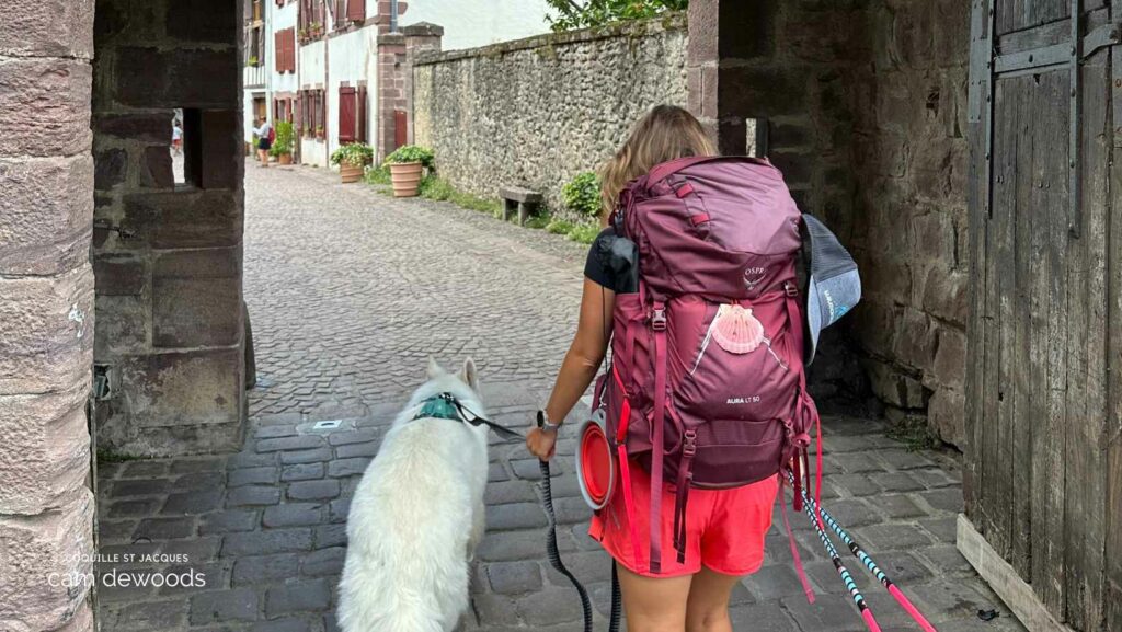 Camino shell: why is the scallop shell the symbol of the Camino