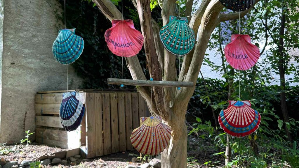 Camino shell: why is the scallop shell the symbol of the Camino