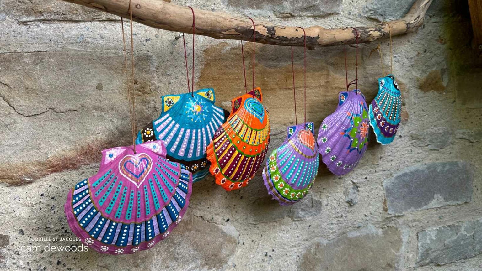 Camino shell: why is the scallop shell the symbol of the Camino